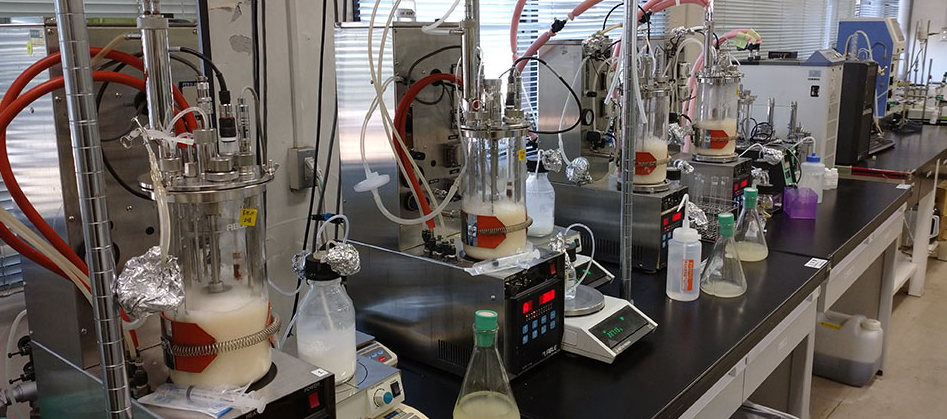Bioprocess Engineering Lab., KIT | バイオプロセス工学研究室｜北見工業大学